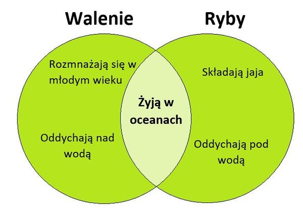 Diagram Venna – Encyklopedia Zarządzania